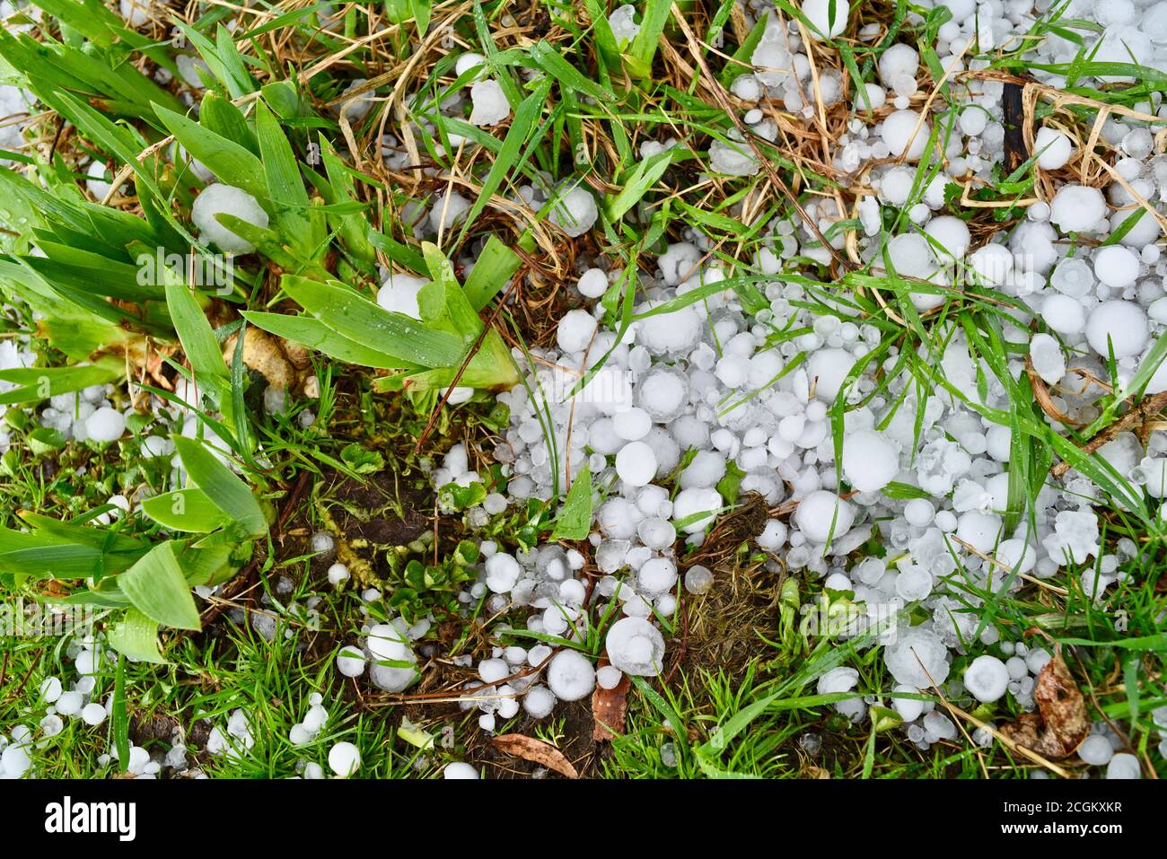 Large hail stones in severe storm striking rural home and property ...