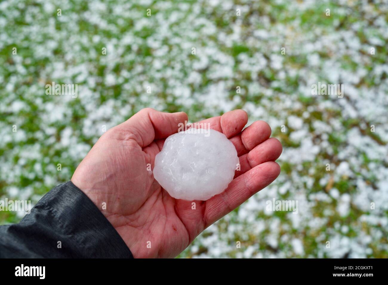 Person holding icy, hard, large, baseball size hail stone in cupped ...
