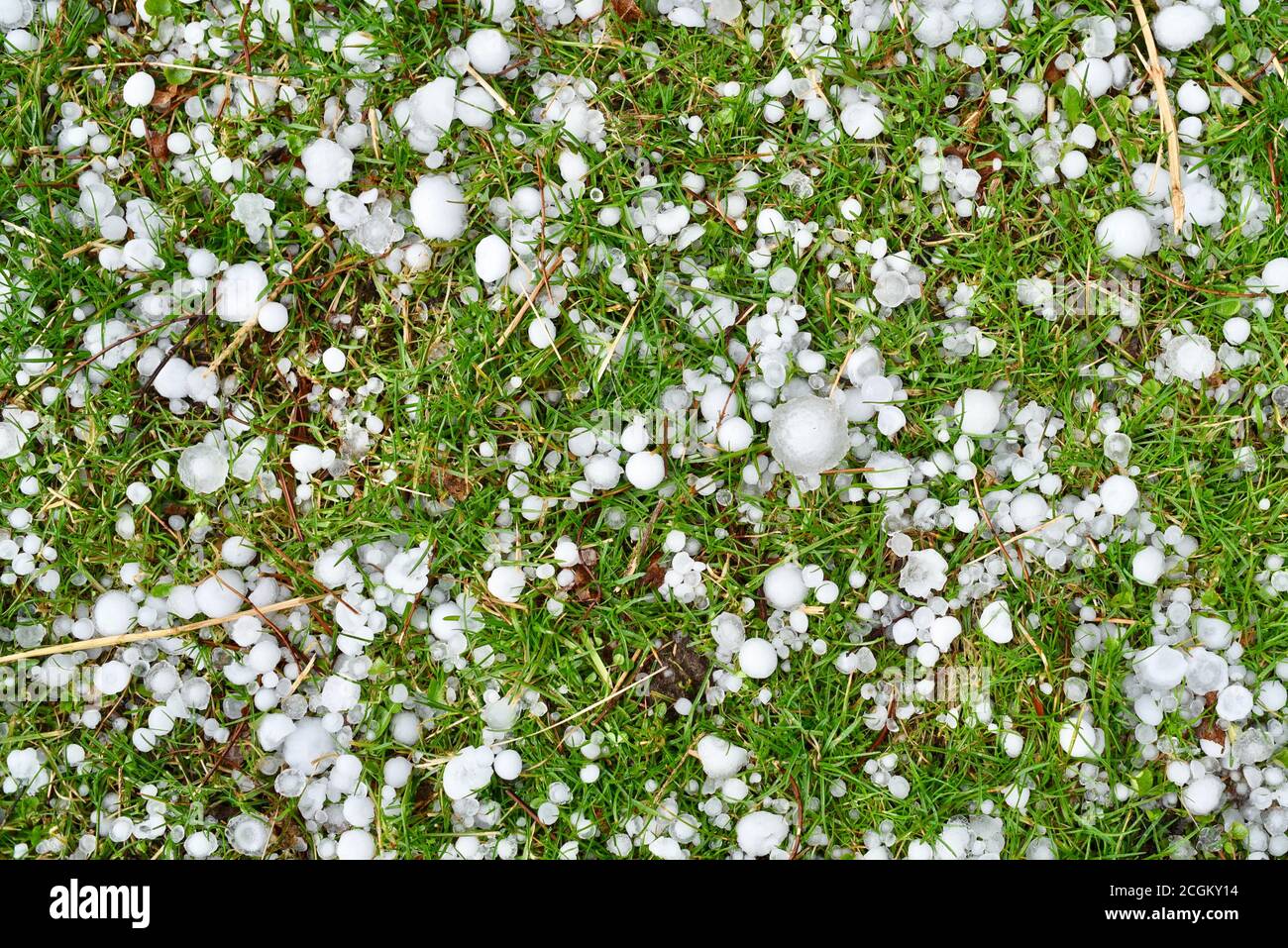 Hailstones hi-res stock photography and images - Alamy