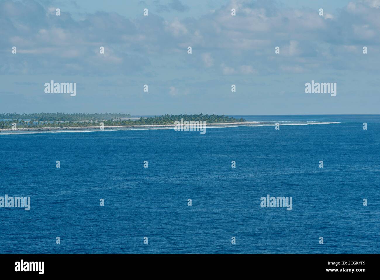 Adams island, new zealand hi-res stock photography and images - Alamy