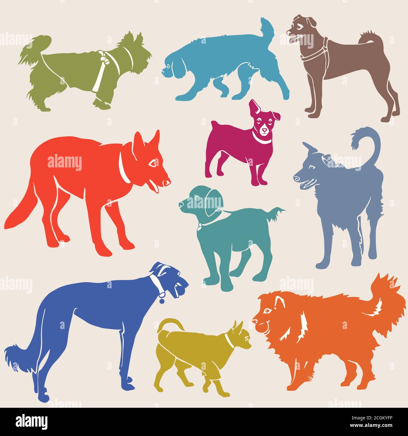 Chihuahua dog pet sitting Stock Vector Images - Alamy