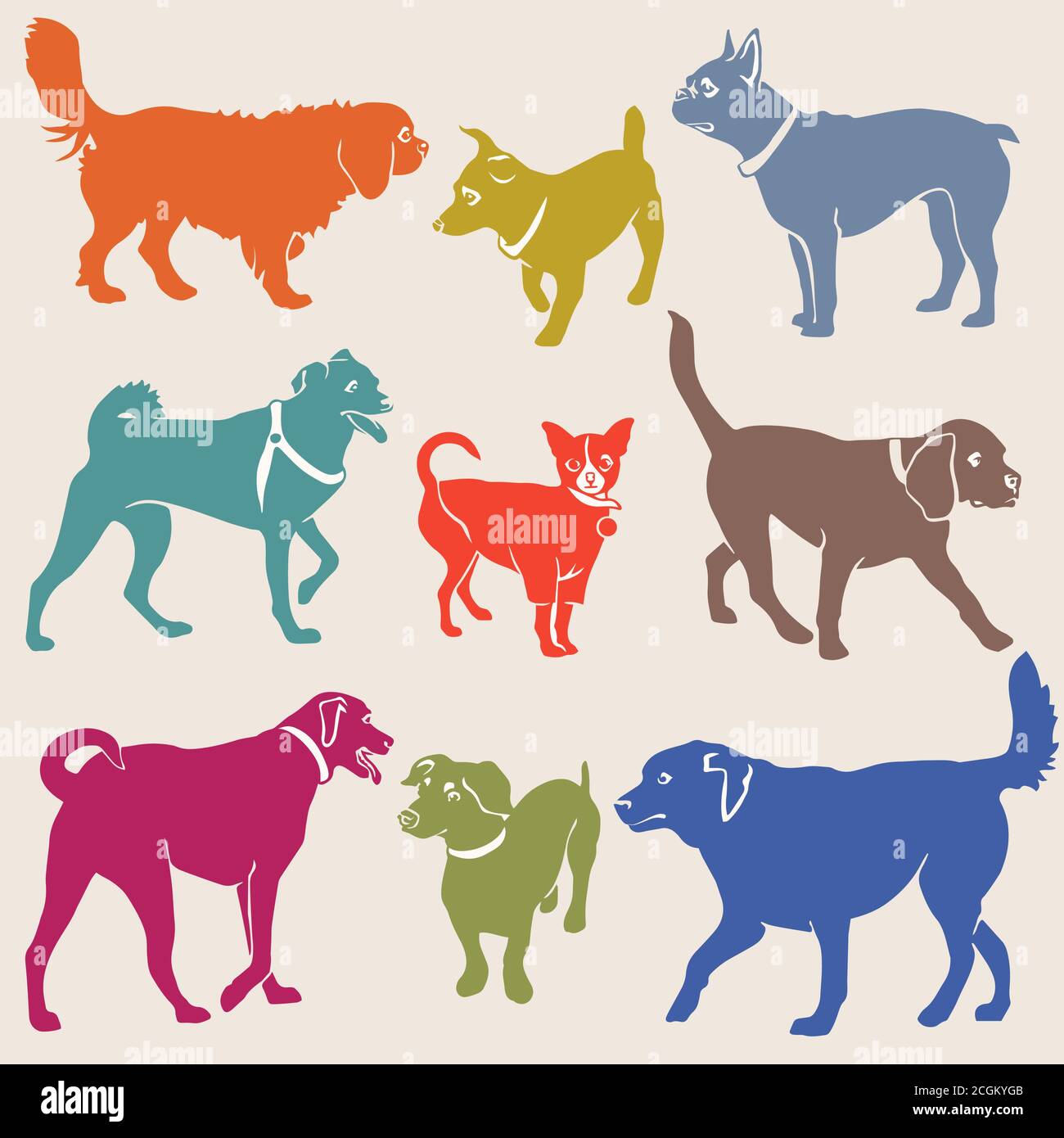 Chihuahua dog pet sitting Stock Vector Images - Alamy