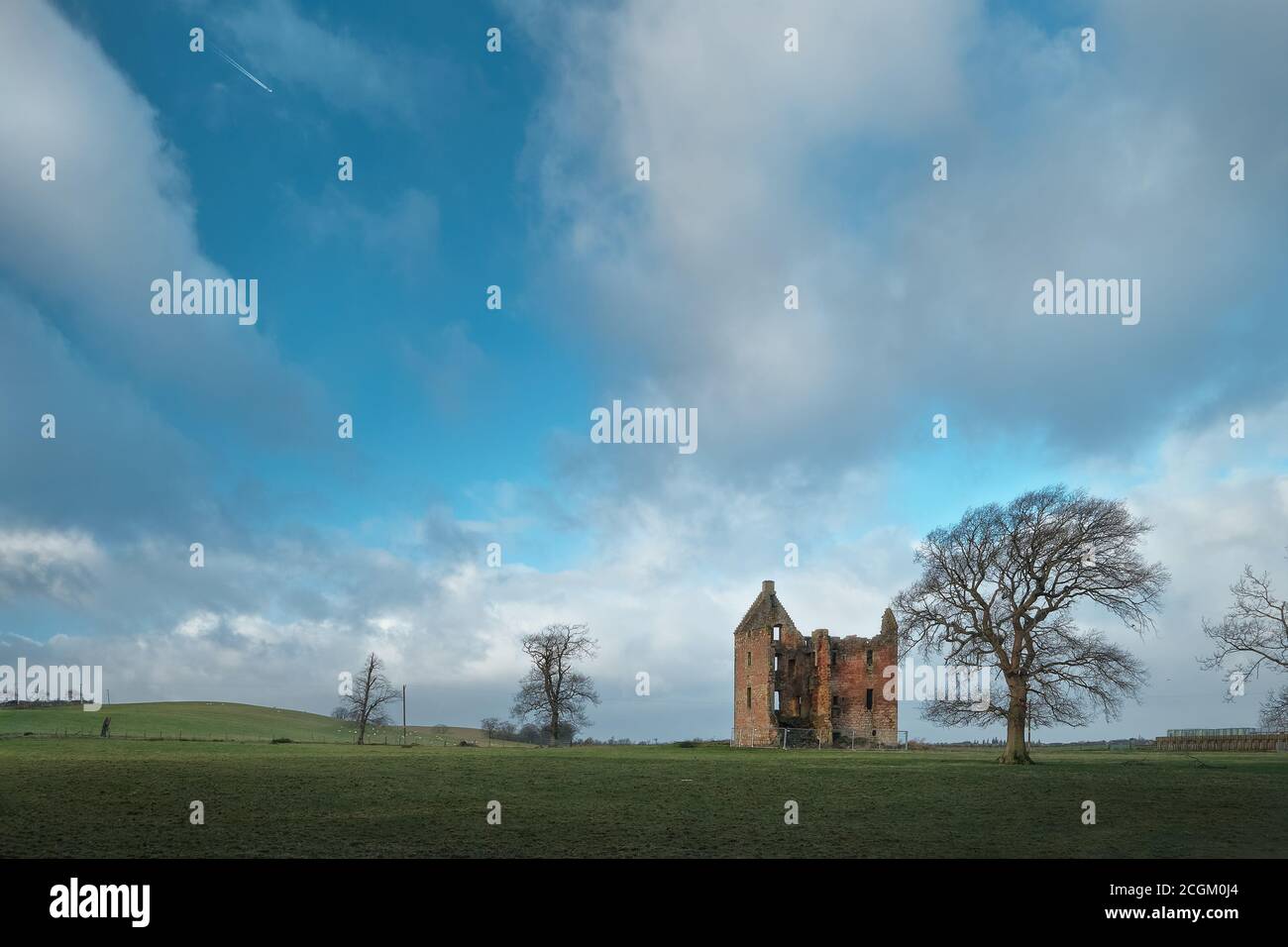 Vintage ruined castle 17th century in the field with trees ...