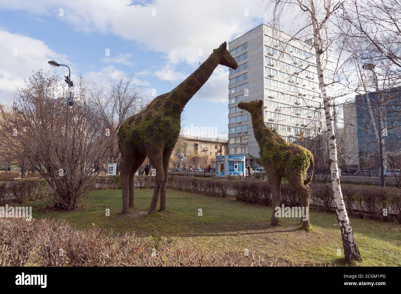 Sculpture of vertical gardening "Giraffes" in late autumn in the ...
