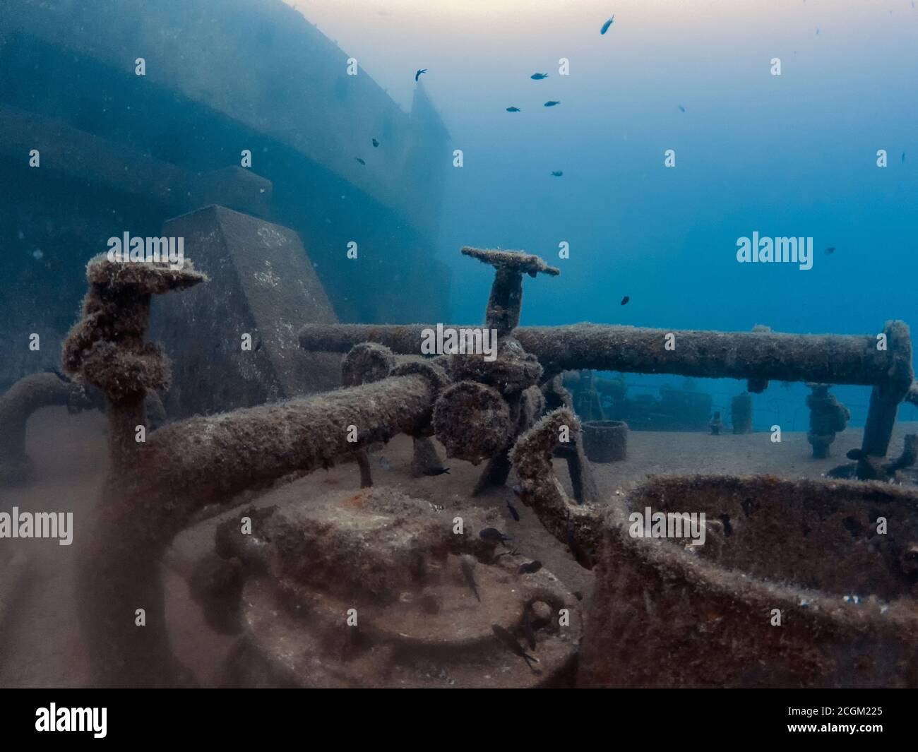 The wreck of the Um El Faroud off the coast of Malta Stock Photo - Alamy