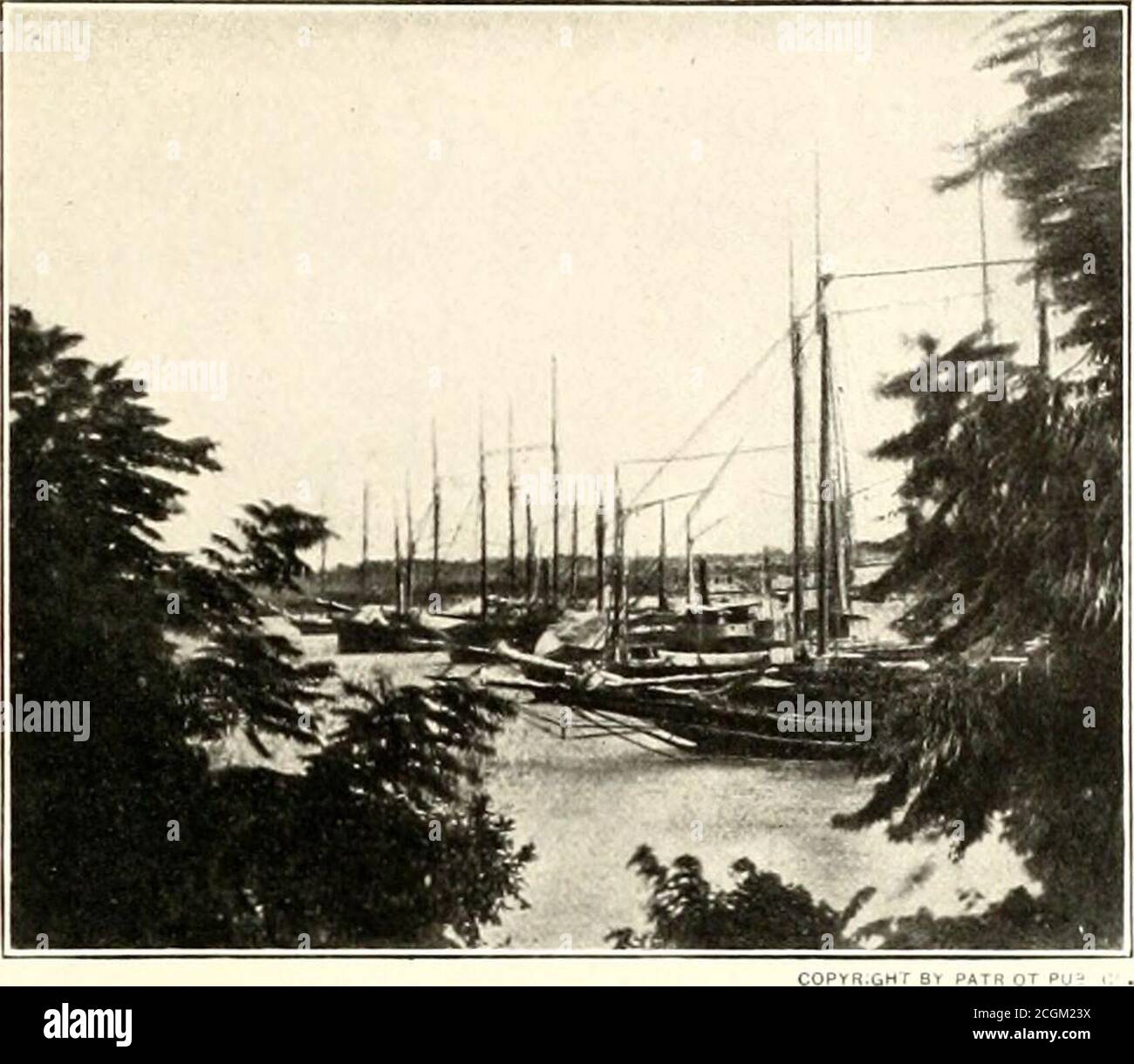 . The Civil War through the camera : hundreds of vivid photographs ...