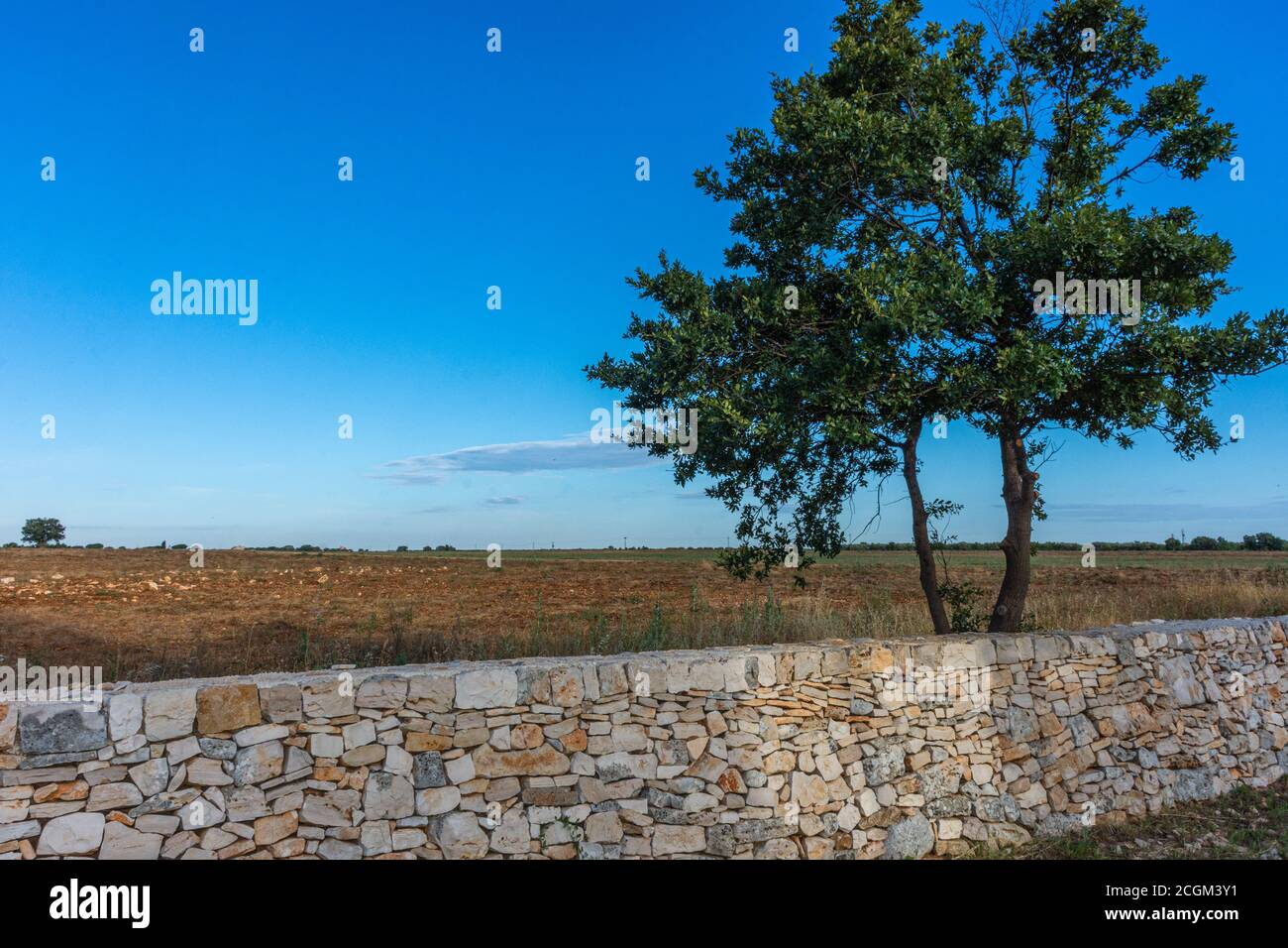 View of a country road with trees and stone wall Stock Photo - Alamy