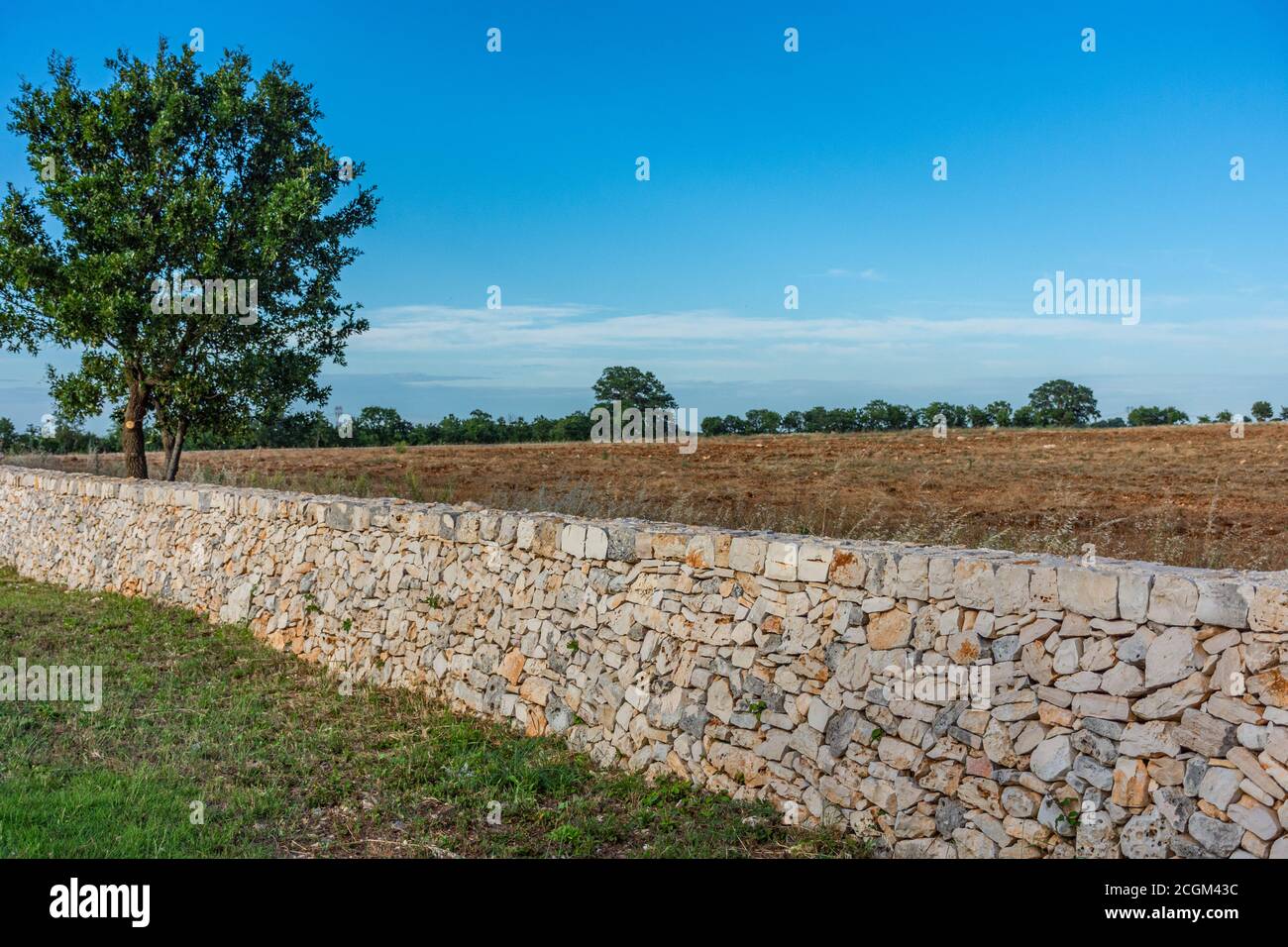 View of a country road with trees and stone wall Stock Photo - Alamy