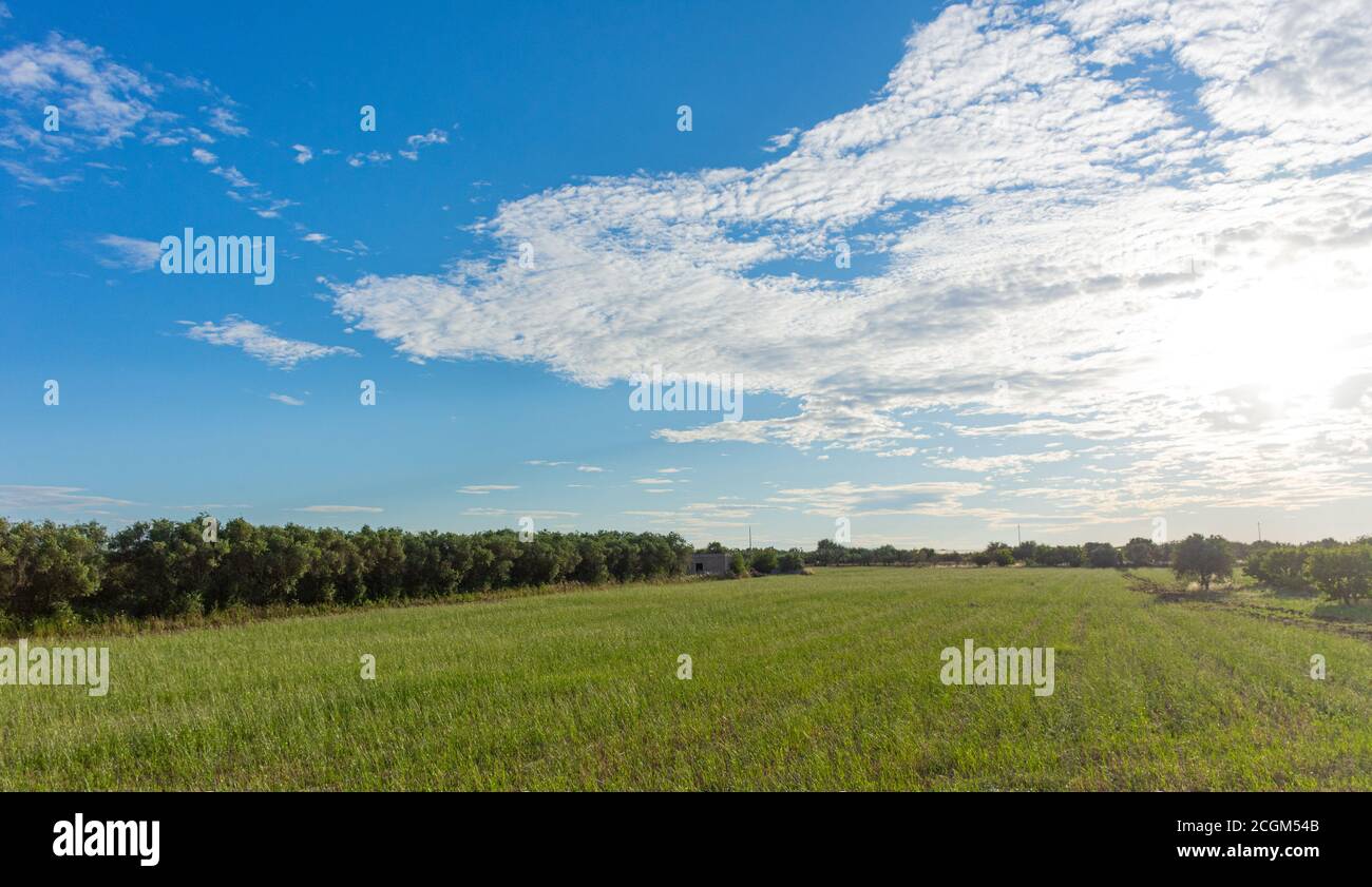 View of a countryside with trees, green lawn and sky with clouds Stock ...