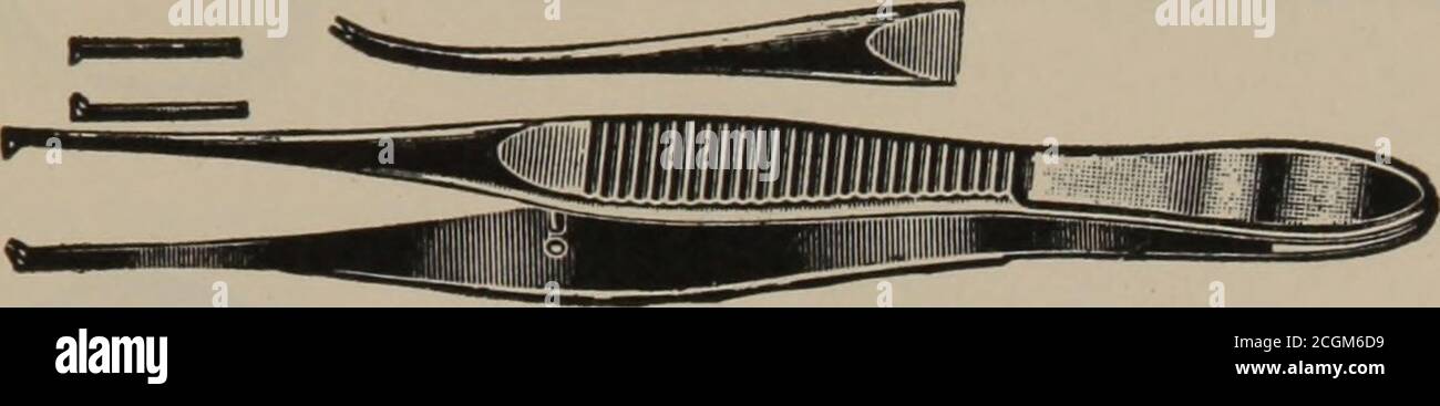 . Nursing in diseases of the eye, ear, nose, and throat . Tendon ...