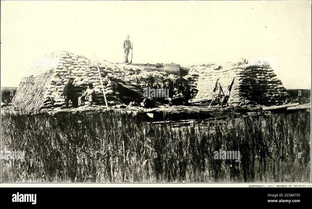 Swamp angel charleston hi-res stock photography and images - Alamy