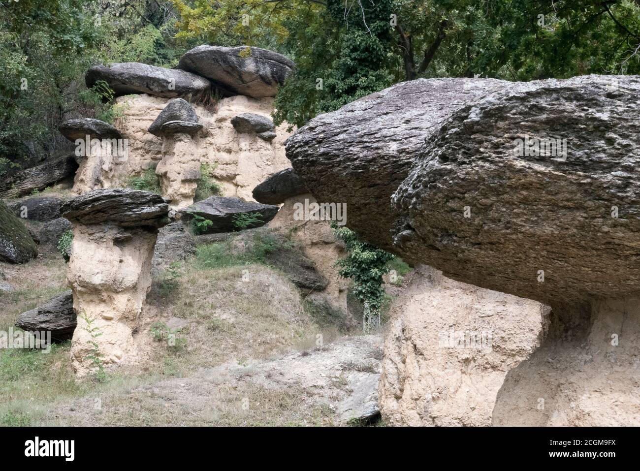 "Ciciu" geological formations, Villar San Costanzo, Italy Stock Photo ...