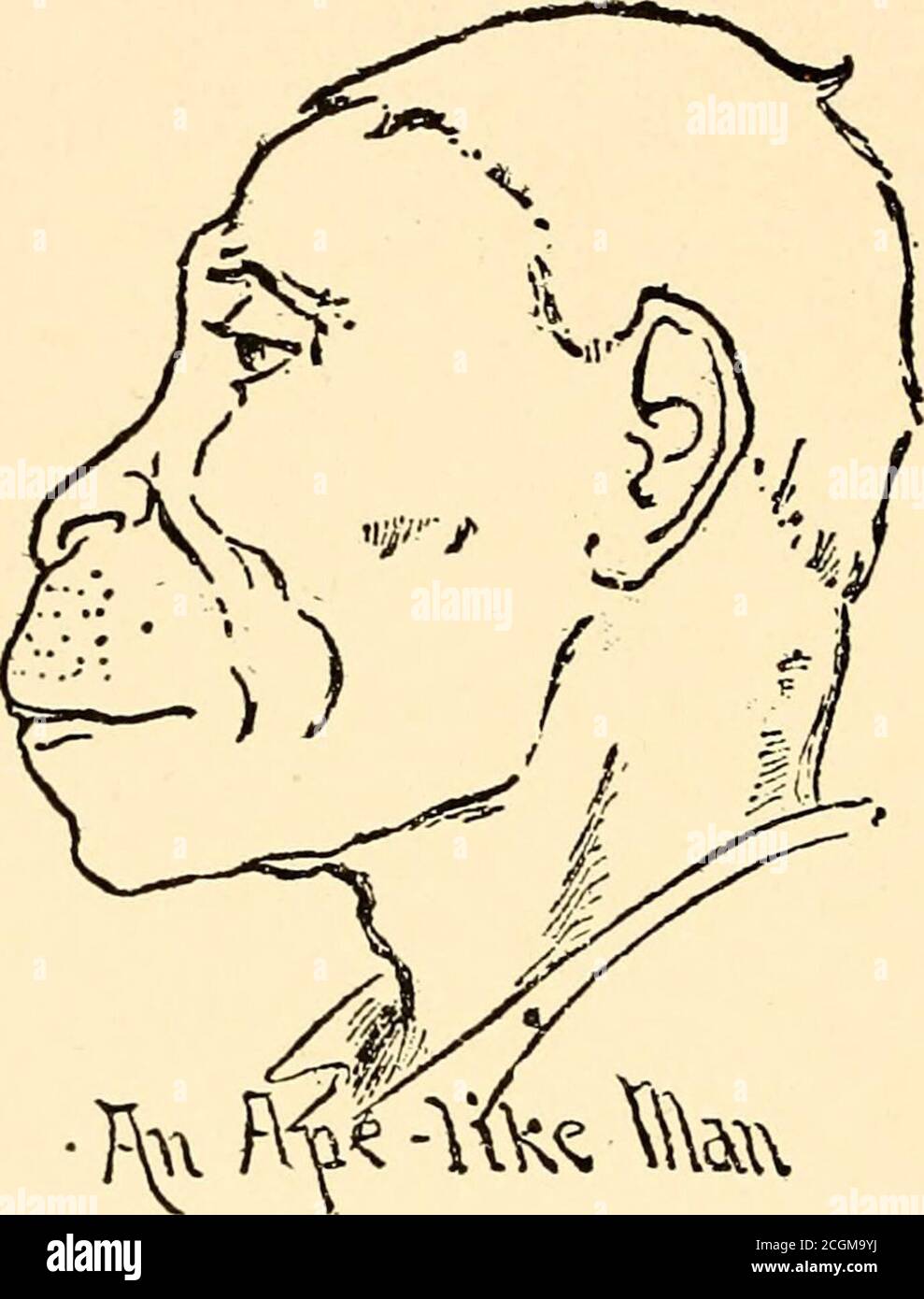 Copperhead face hi-res stock photography and images - Alamy