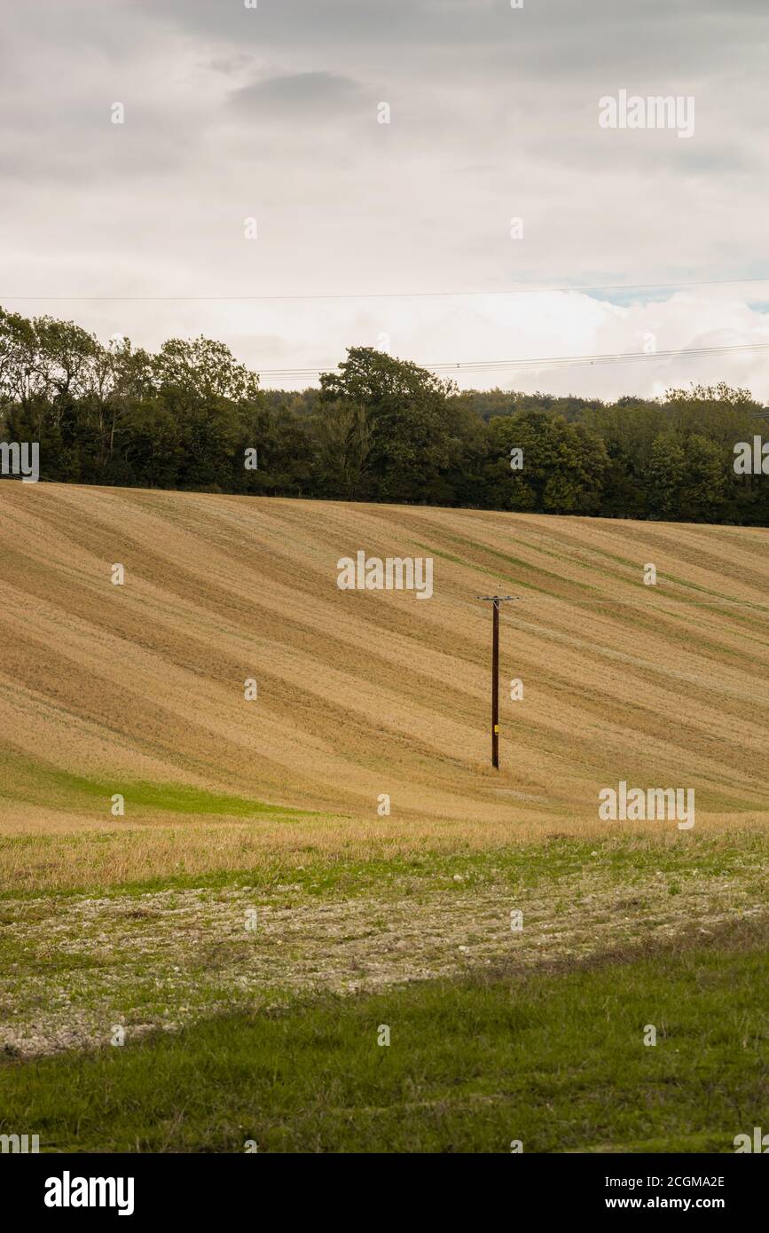 Late summer harvested hilly field in the South Downs National Park near ...