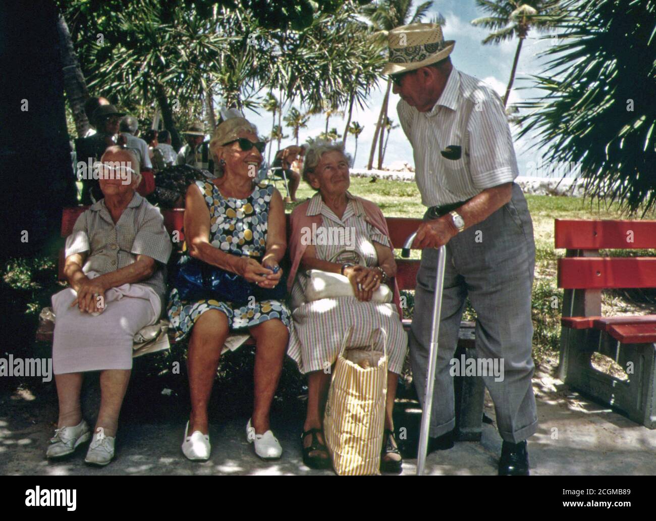 Park Benches of the South Beach Area of Miami Beach Are Favorite ...