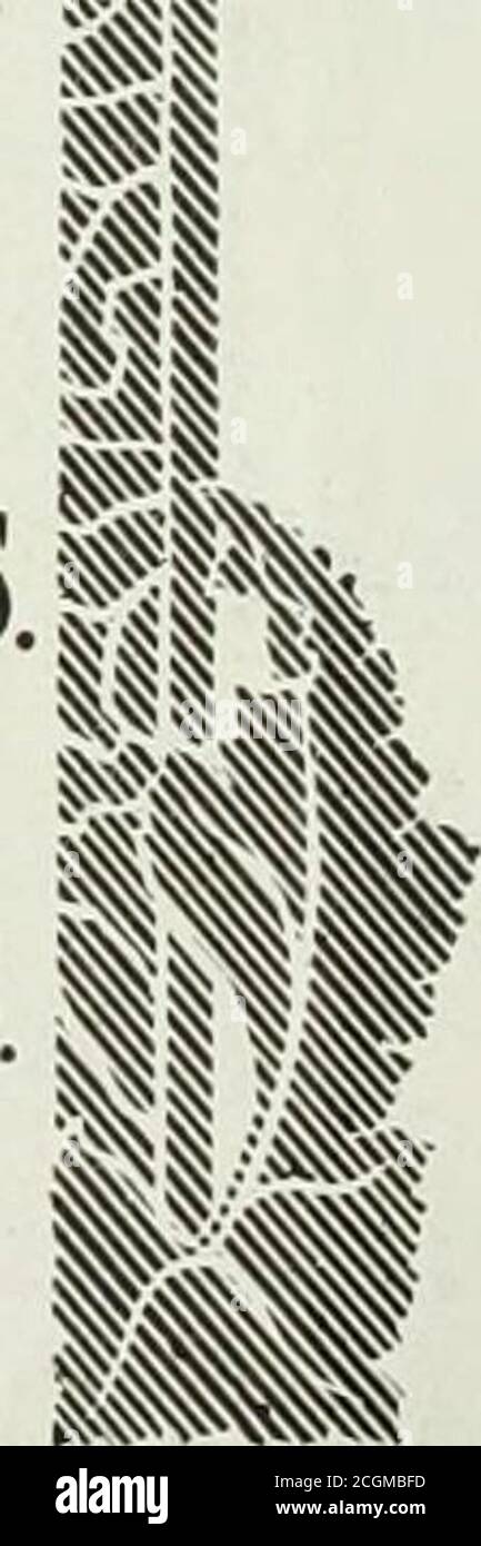 High speed torpedo launches hi-res stock photography and images - Alamy