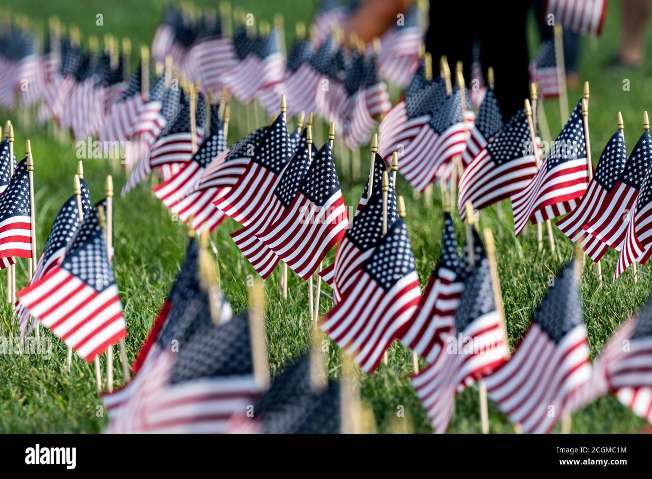 Field of American flags planted in front of the U.S. Capitol by the ...