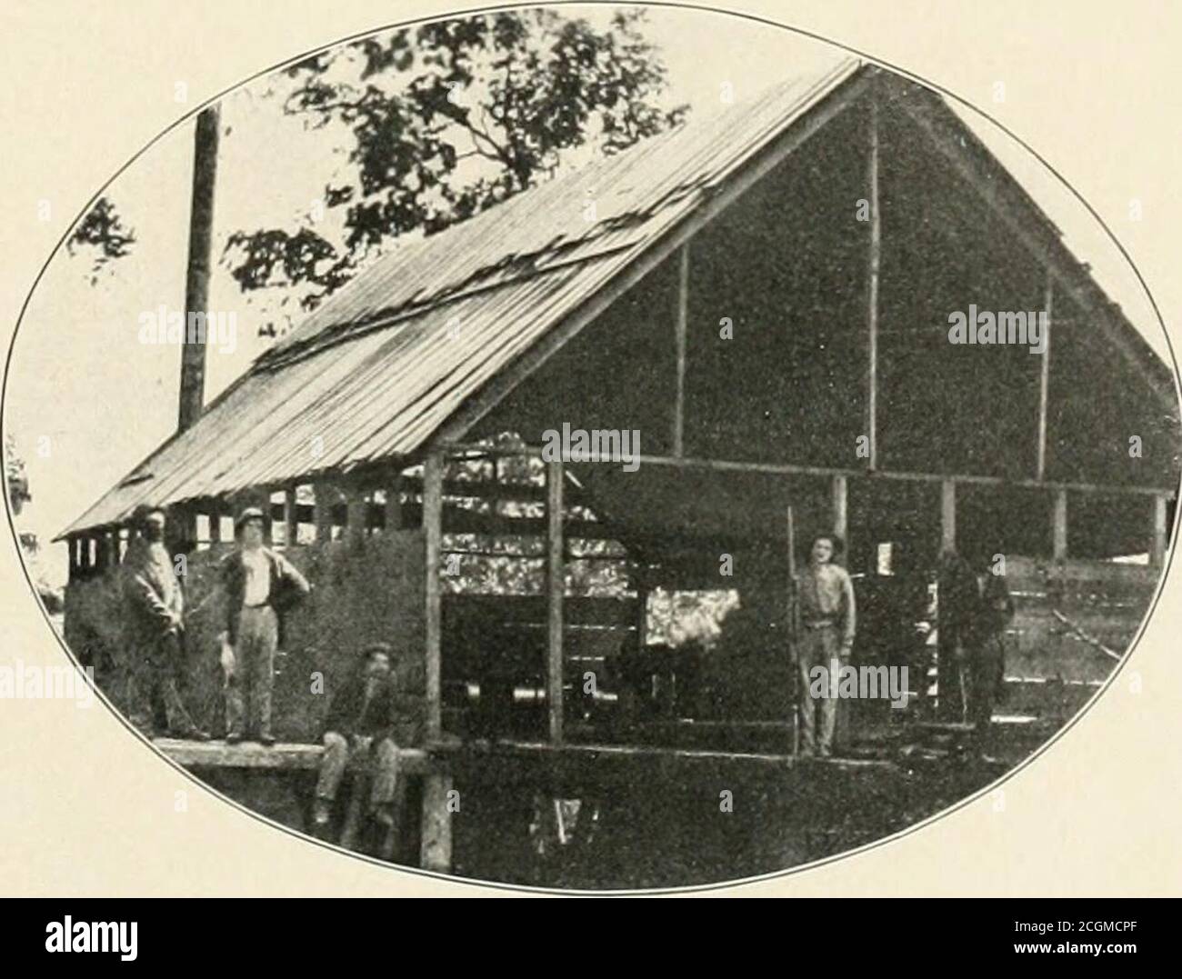 . The photographic history of the Civil War : thousands of scenes ...