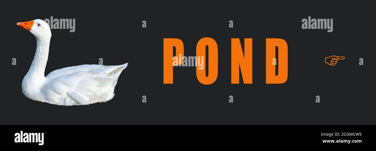 Indication lettering isolated on colorful background for multiple uses ...