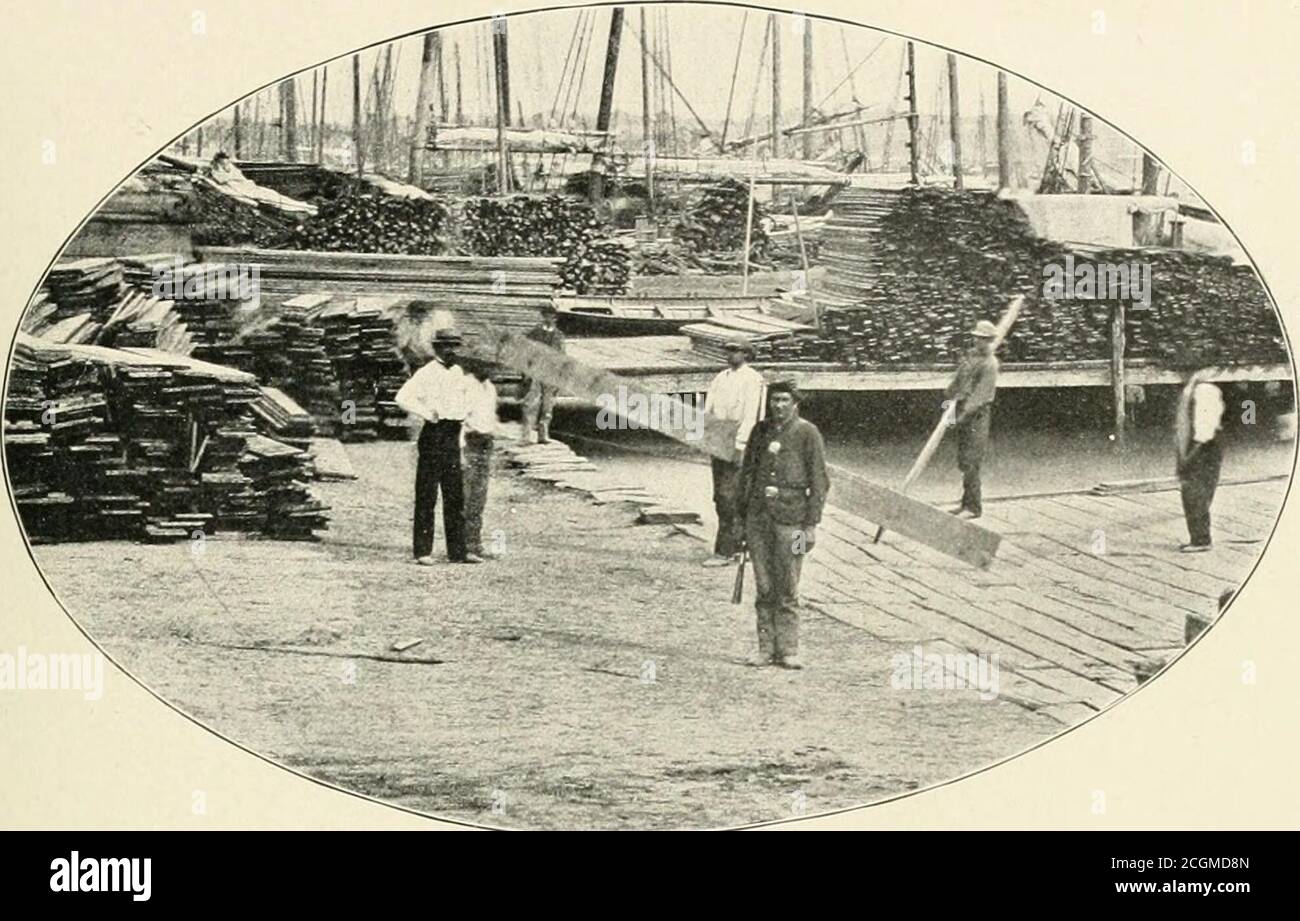 Hardtack army hi-res stock photography and images - Alamy