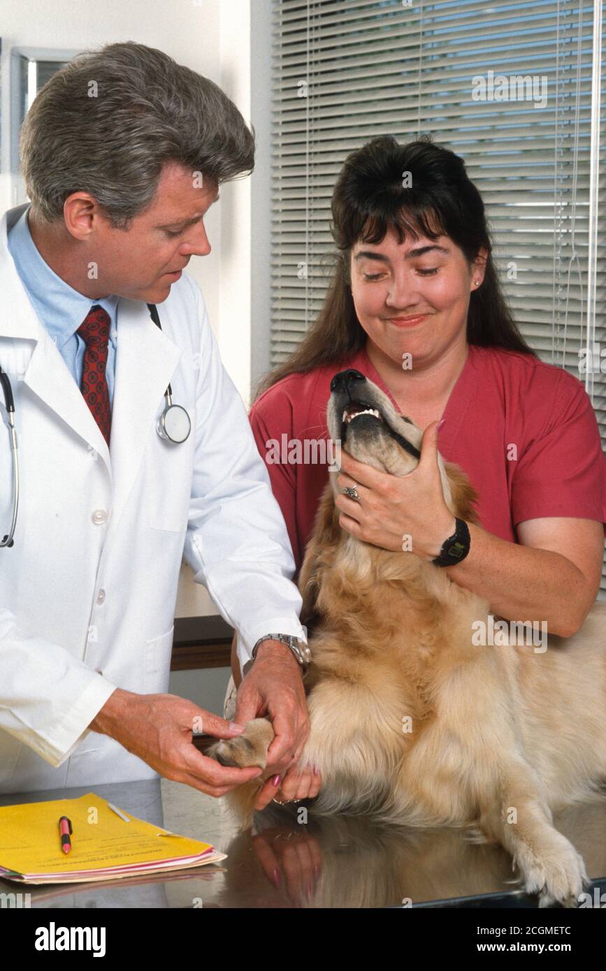 American vet hi-res stock photography and images - Alamy