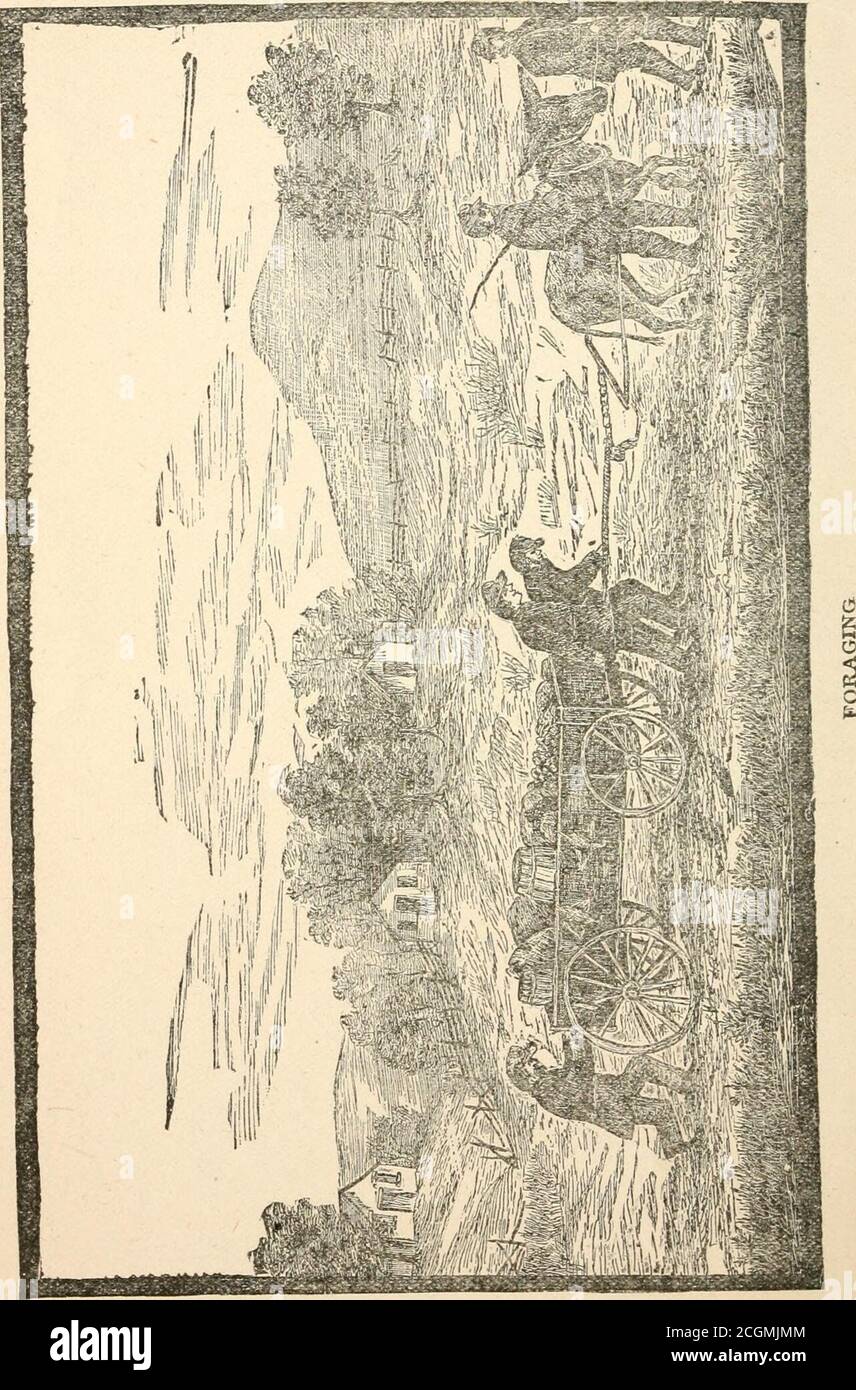 Battle of hab hi-res stock photography and images - Alamy