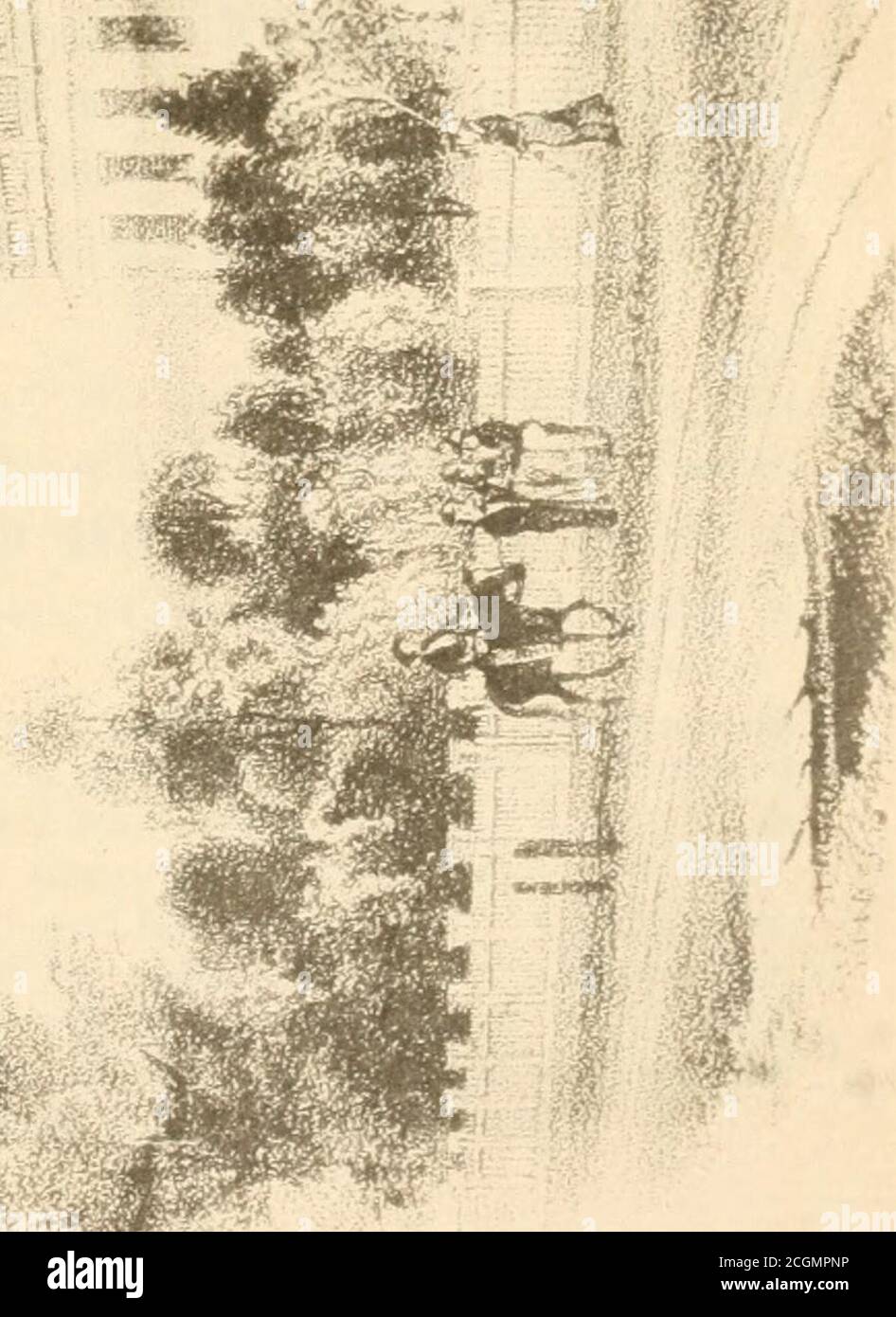 Stephen minot weld hi-res stock photography and images - Alamy