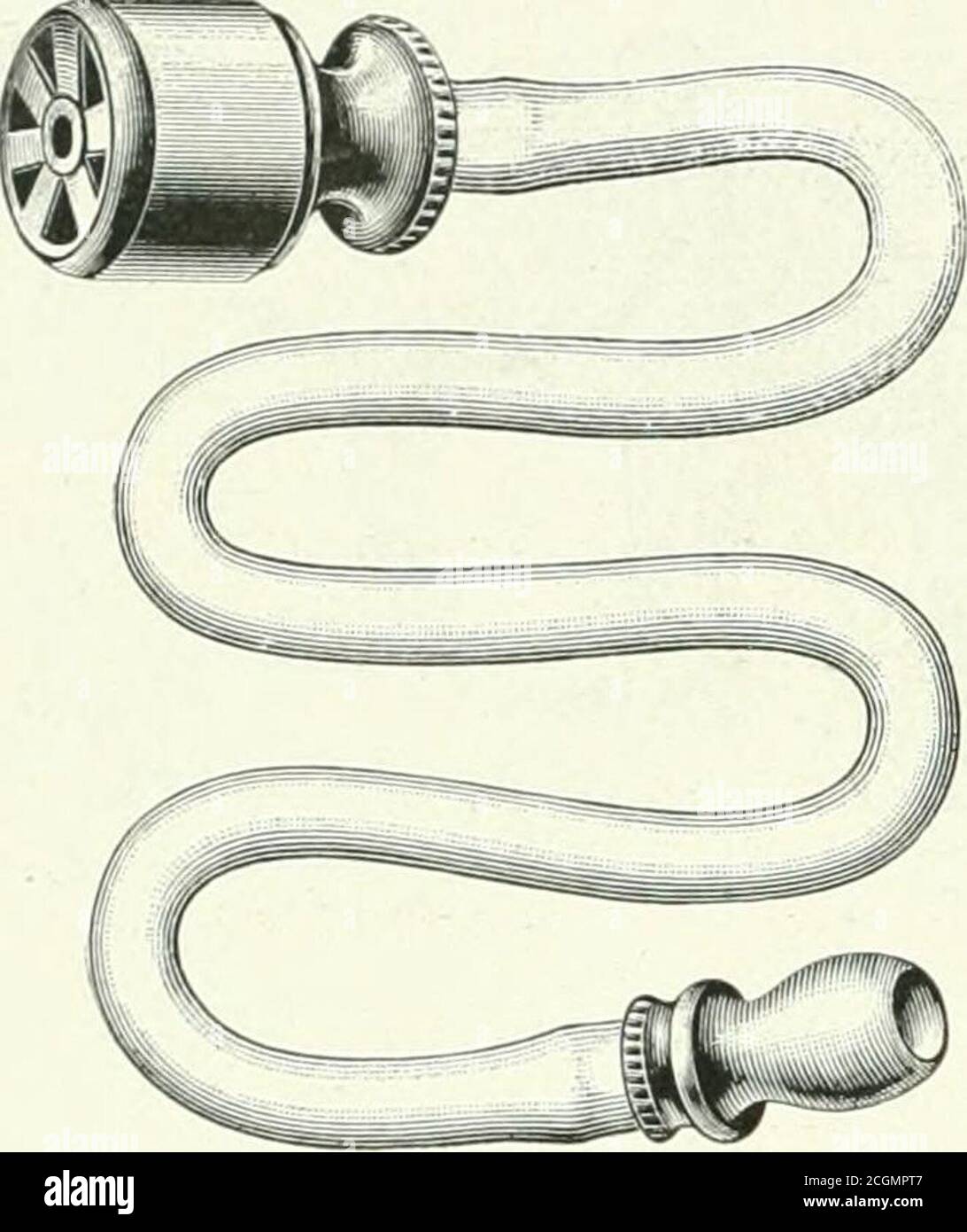 Long eared mule hi-res stock photography and images - Alamy