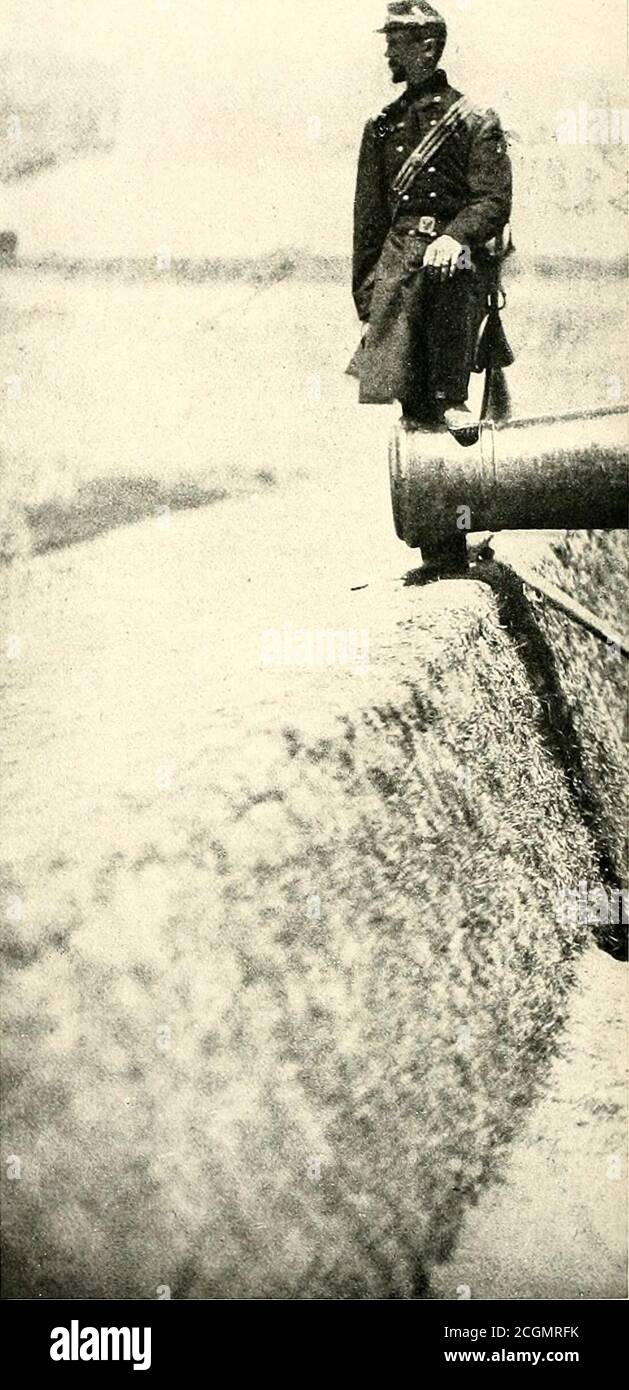 Grape shot gun hi-res stock photography and images - Alamy