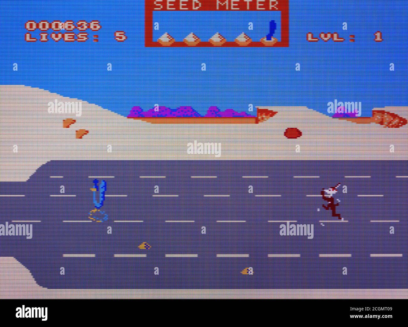 Road Runner - Nintendo Entertainment System - NES Videogame - Editorial ...