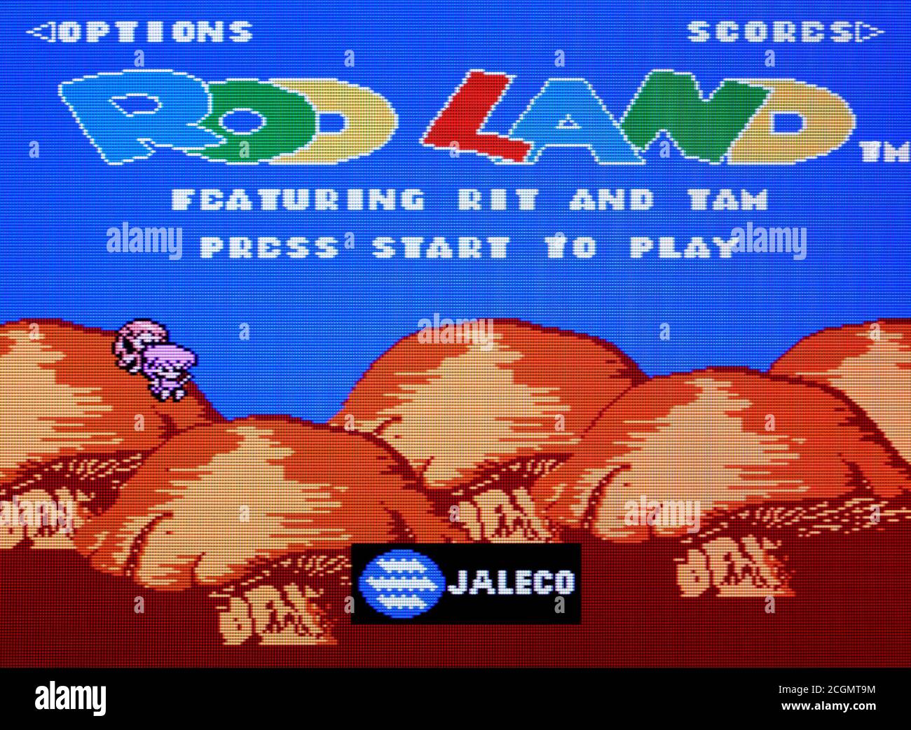 Rod Land - Nintendo Entertainment System - NES Videogame - Editorial ...