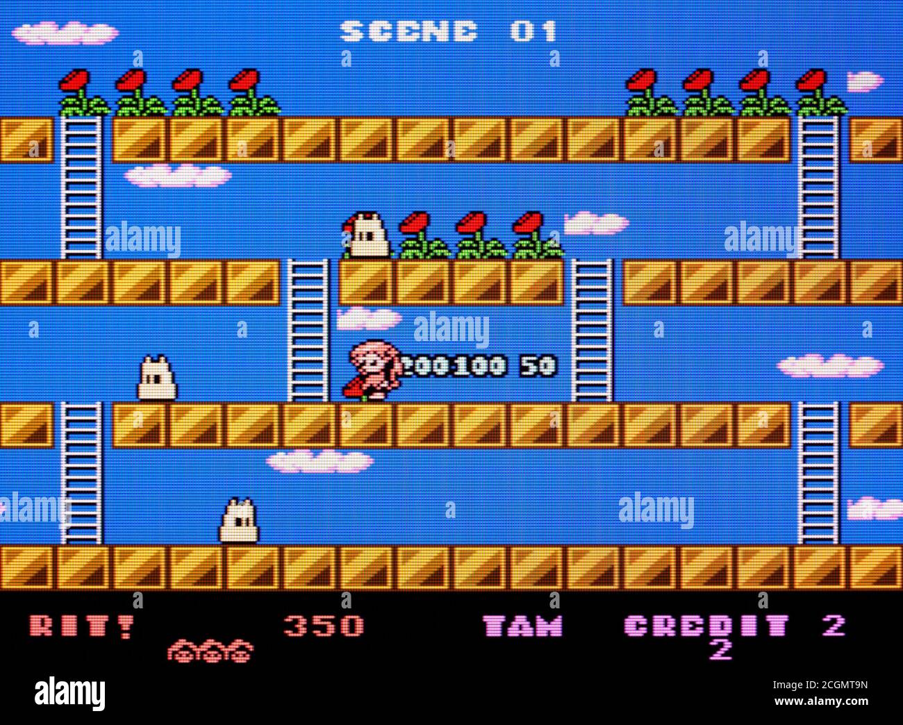 Rod Land - Nintendo Entertainment System - NES Videogame - Editorial ...