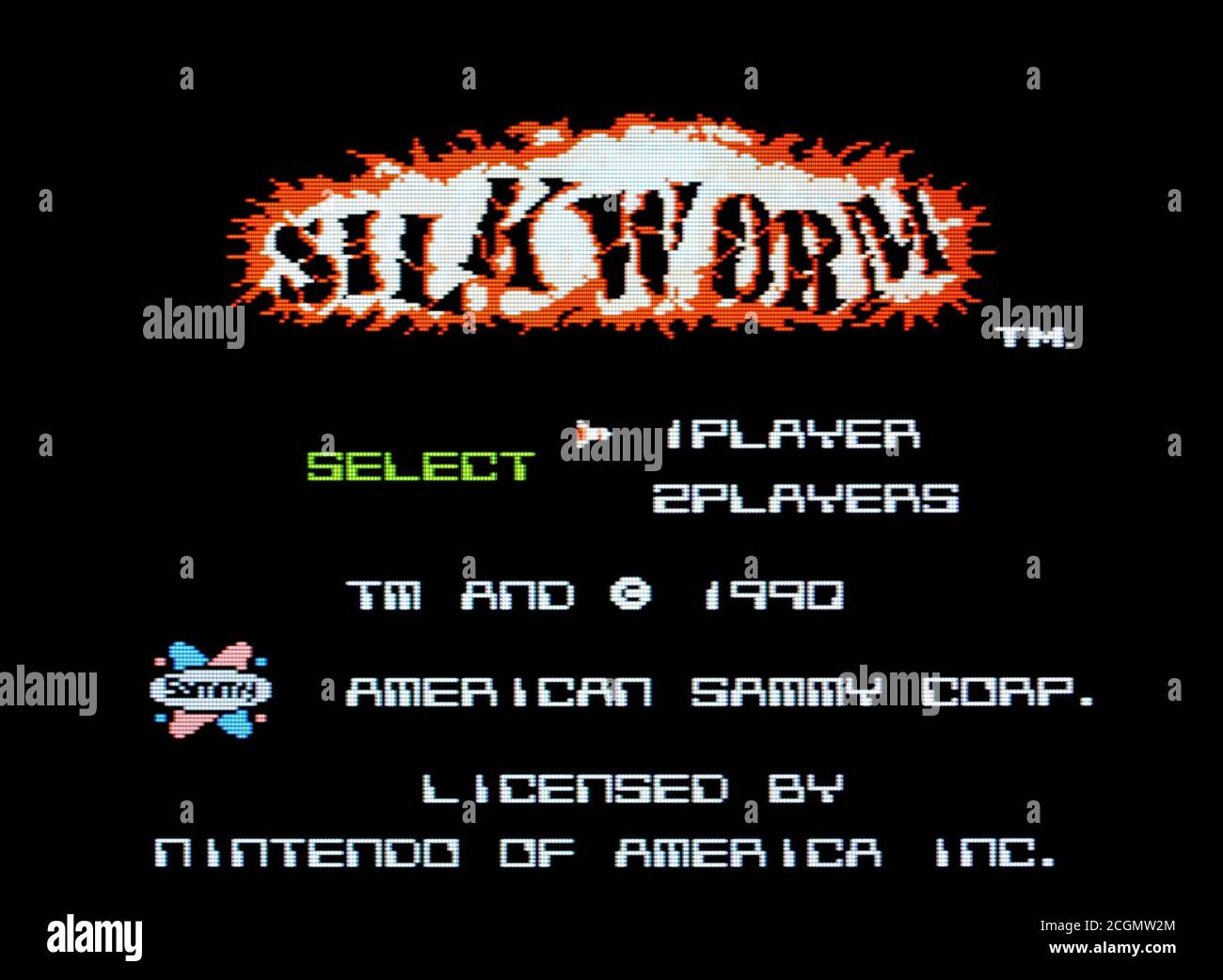 Silk Worm - Nintendo Entertainment System - NES Videogame - Editorial ...