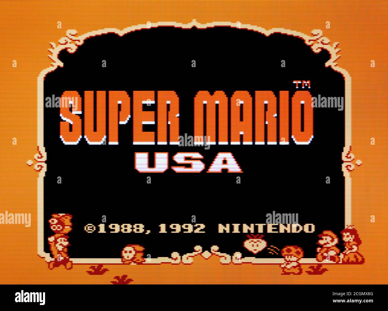 Super Mario USA - Nintendo Entertainment System - NES Videogame ...