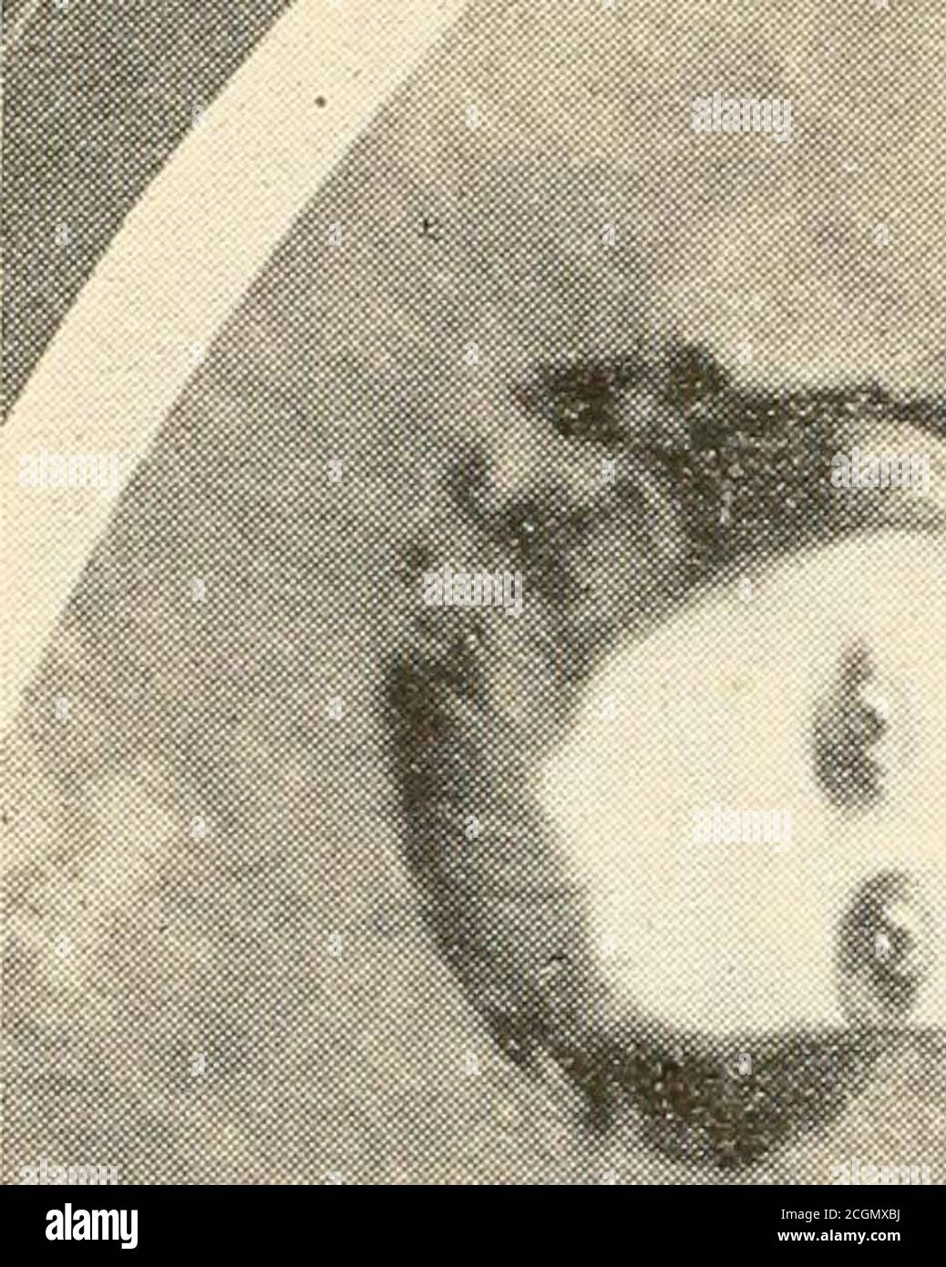 85th infantry hi-res stock photography and images - Alamy