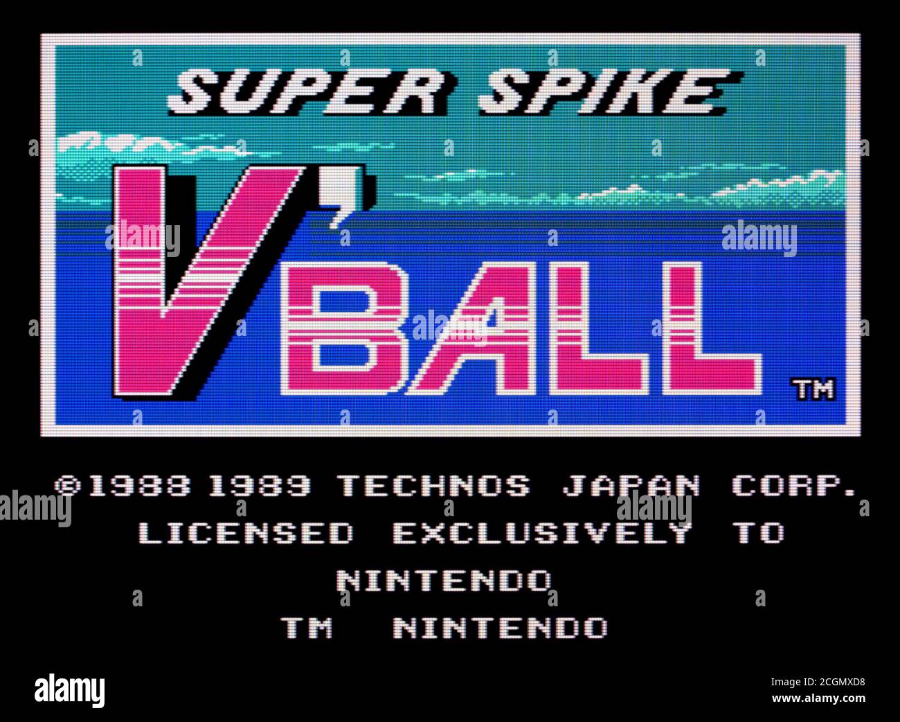 Super Spike V'Ball - Nintendo Entertainment System - NES Videogame ...