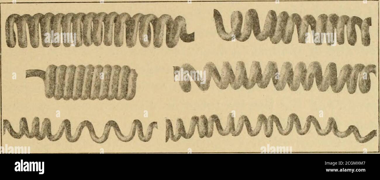 . Smithsonian miscellaneous collections . Fig. 17a.—Sectional view of ...