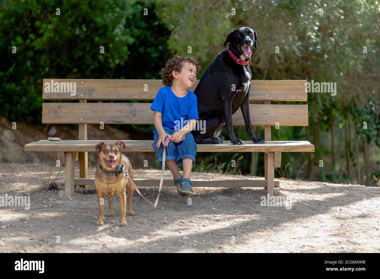 Little boy sitting with two dogs on wooden bench in the park smiling ...