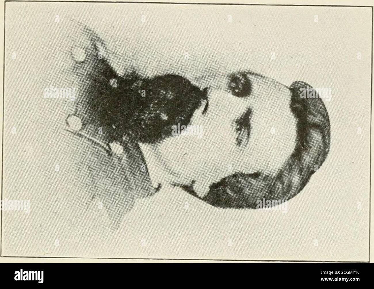 Reiter regiment hi-res stock photography and images - Alamy