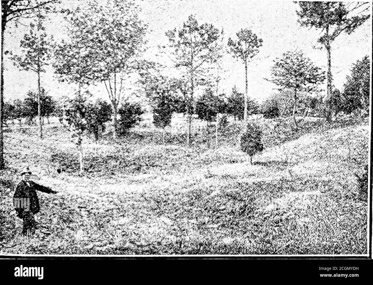 Colonel of the 22nd regiment Black and White Stock Photos & Images - Alamy