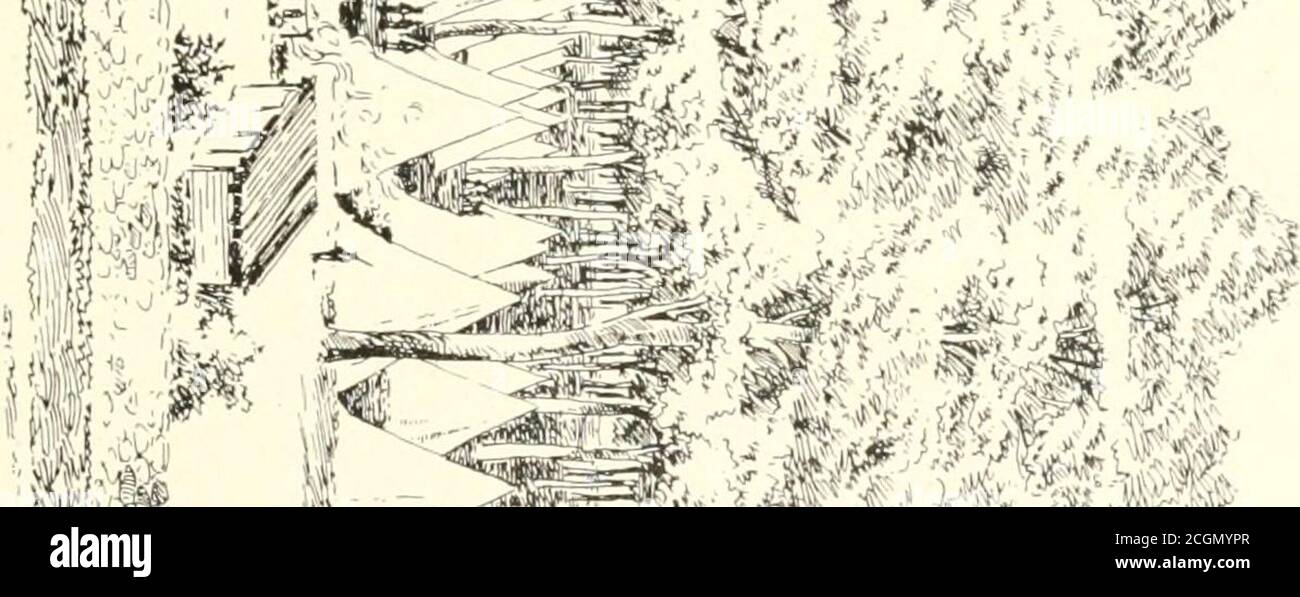 Blisters army hi-res stock photography and images - Alamy