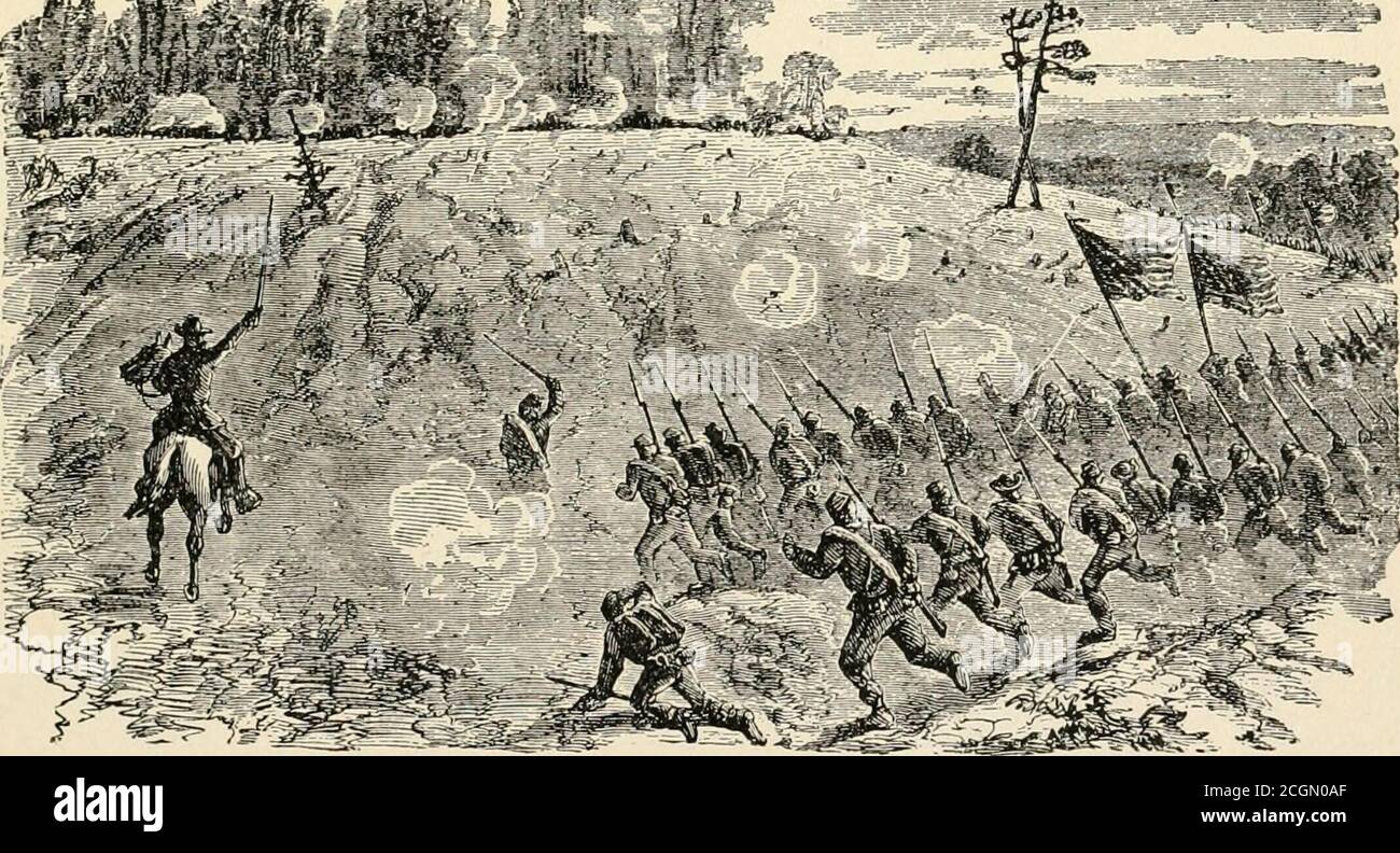 Timber targets hi-res stock photography and images - Alamy