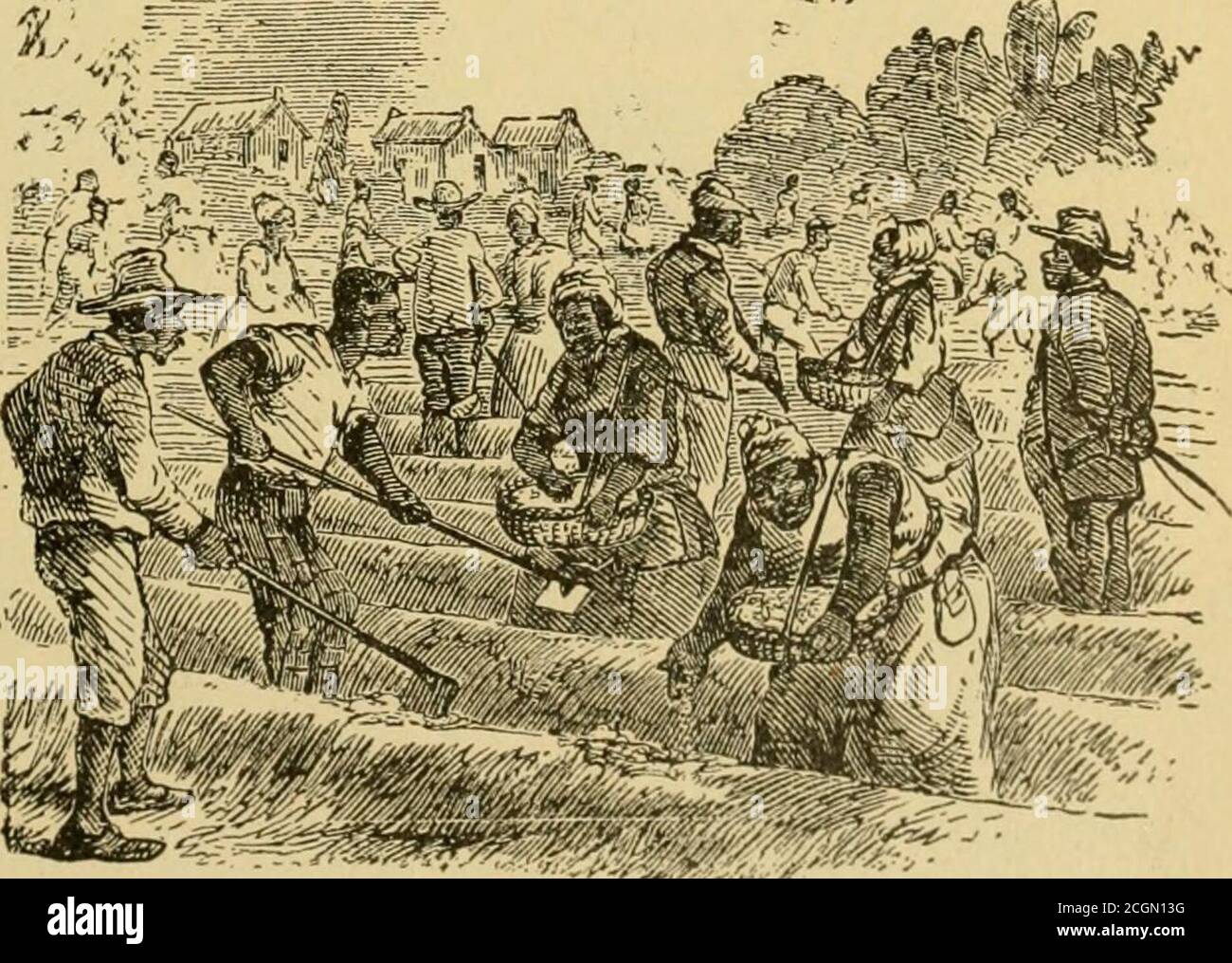 . History of the Twenty-fourth Michigan of the Iron brigade, known as ...
