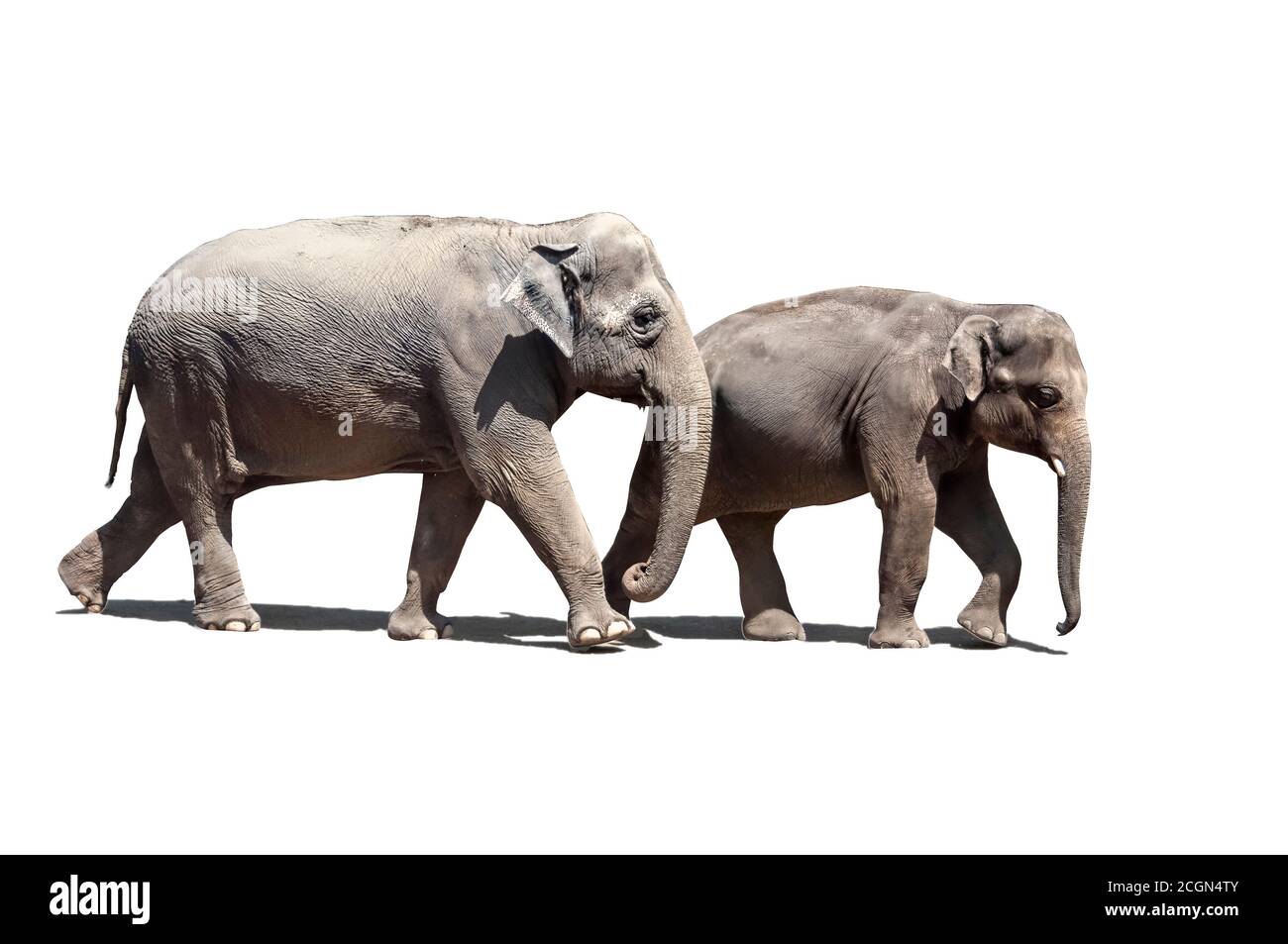 Huge shadow young hi-res stock photography and images - Alamy