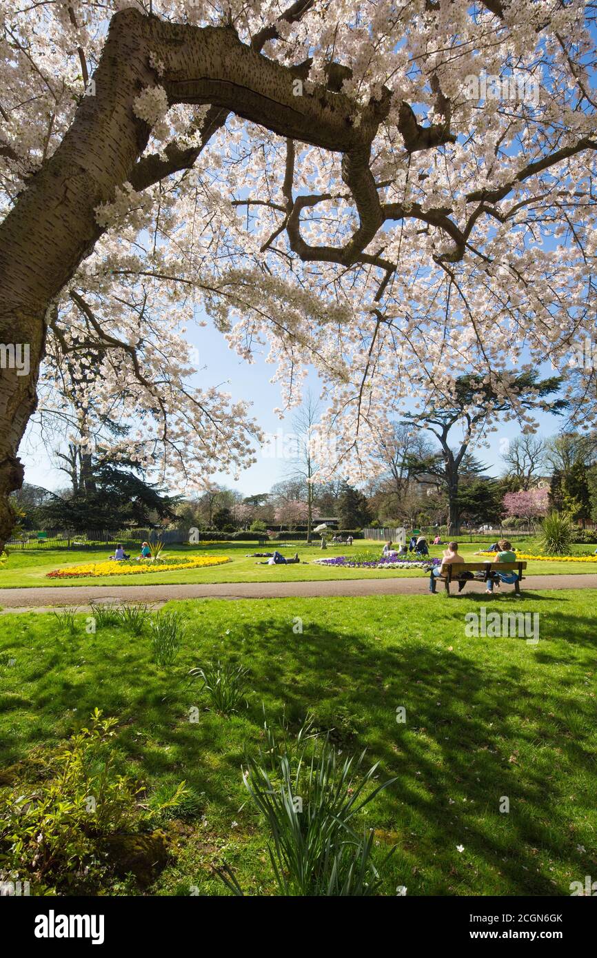 Walpole park hi-res stock photography and images - Alamy