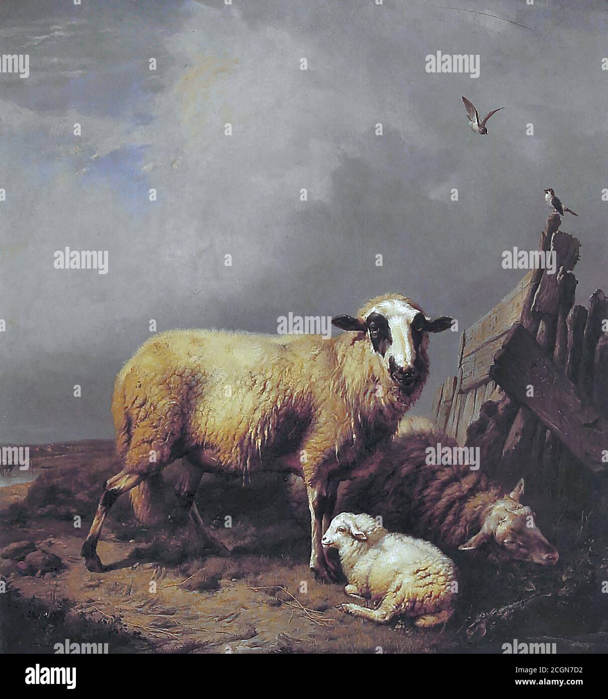 Joseph lamb hi-res stock photography and images - Alamy