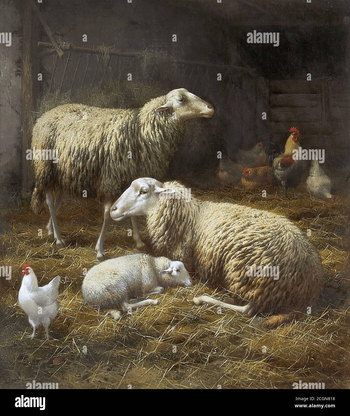 Sluys Theodore Van - Sheep and Chickens in a Barn - Belgian School ...