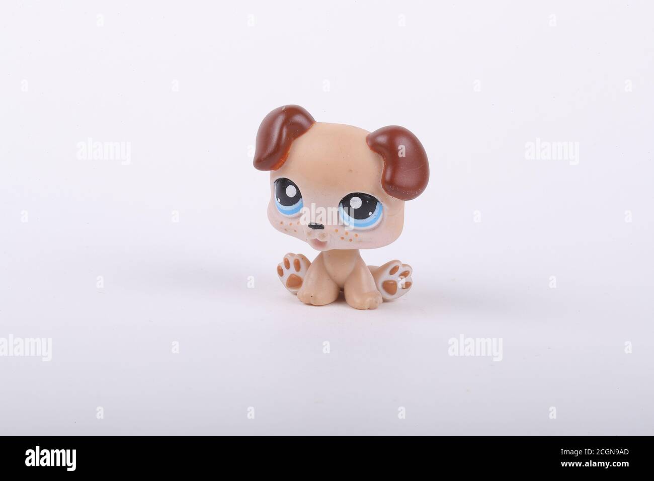 Littlest Pet Shops macro of a brown Puppy on White - Photo credit Luke ...