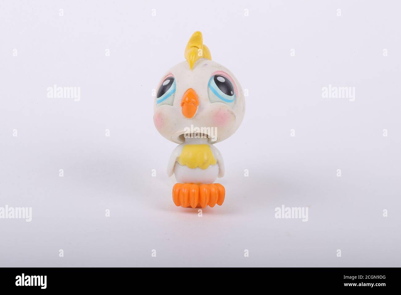 Littlest Pet Shops macro of a chicken on White - Photo credit Luke ...