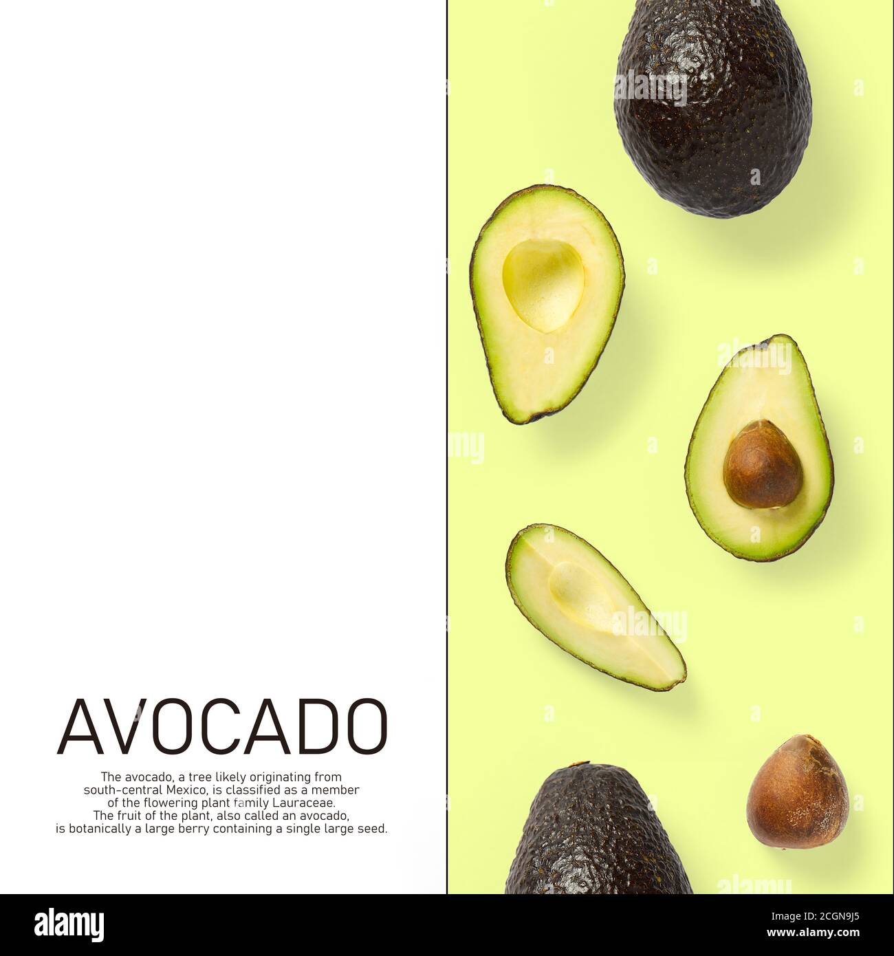 Modern creative avocado collage with simple text on solid color ...